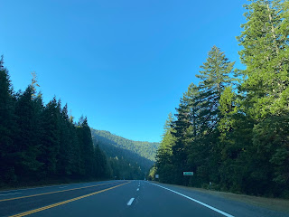 US Route 199; the Redwood Highway