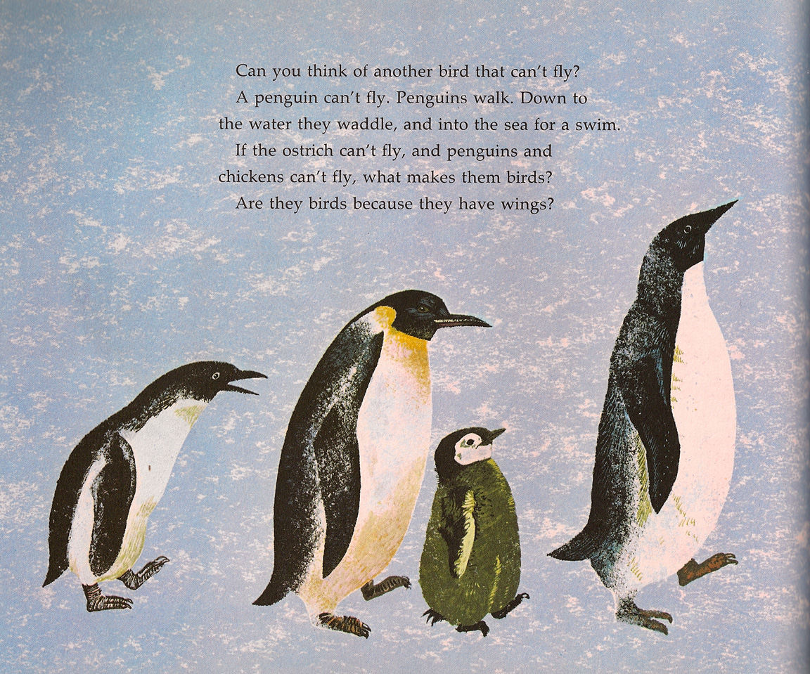 The Art of Children's Picture Books: What Makes a bird A BIRD ...