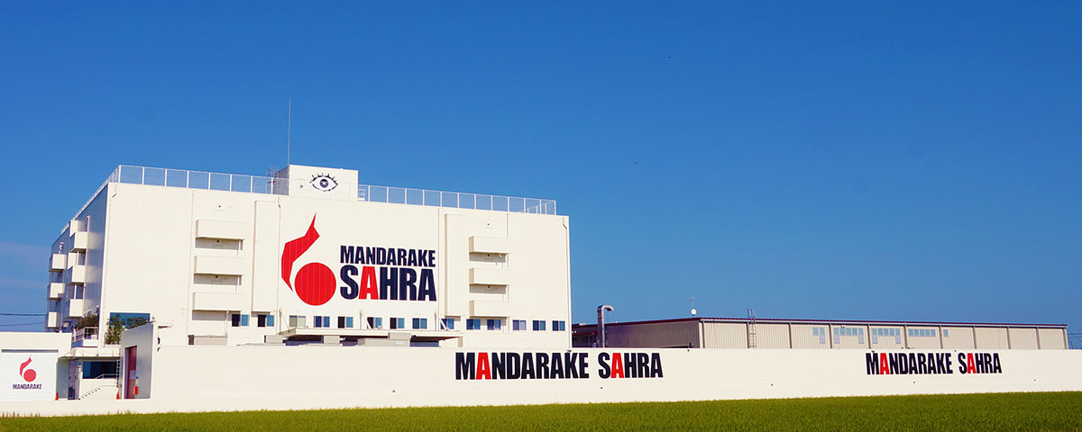 Visiting Every Mandarake