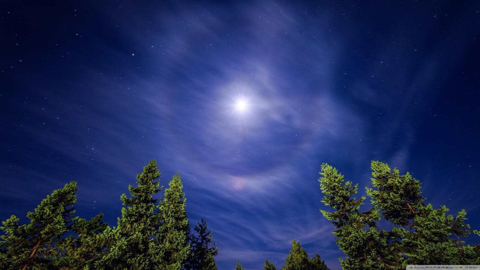 Apie debesis: Rūšys