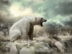 World History: Wild Animals on Earth disappeared in the last 40 years