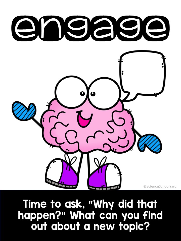 The 5 E Model In Your Science Classroom - The Science School Yard