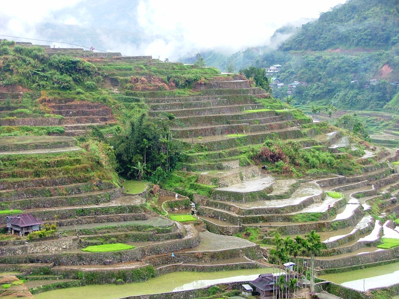 Hapao Rice Terraces