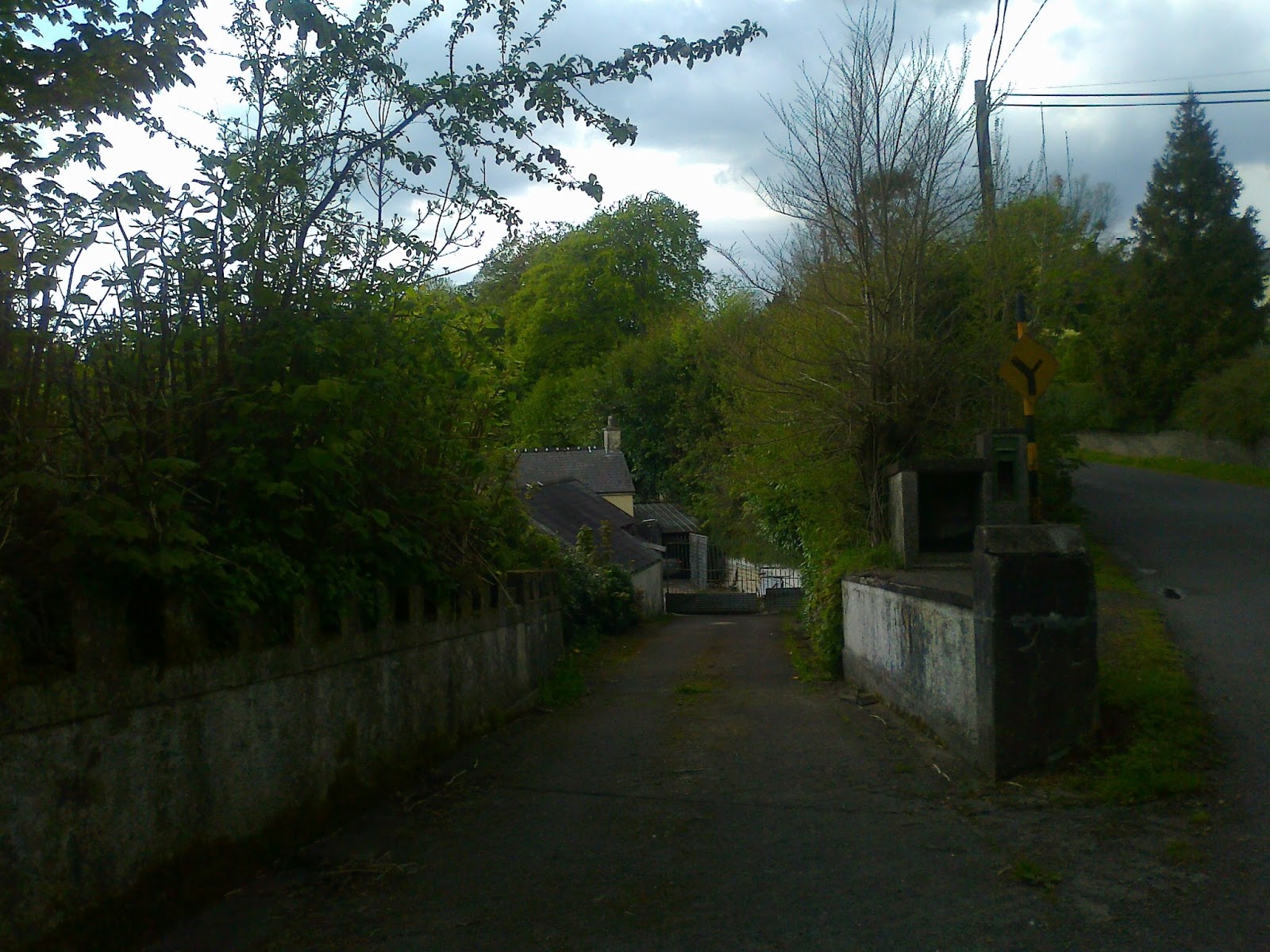 Tai Chi Cork: Dripsey
