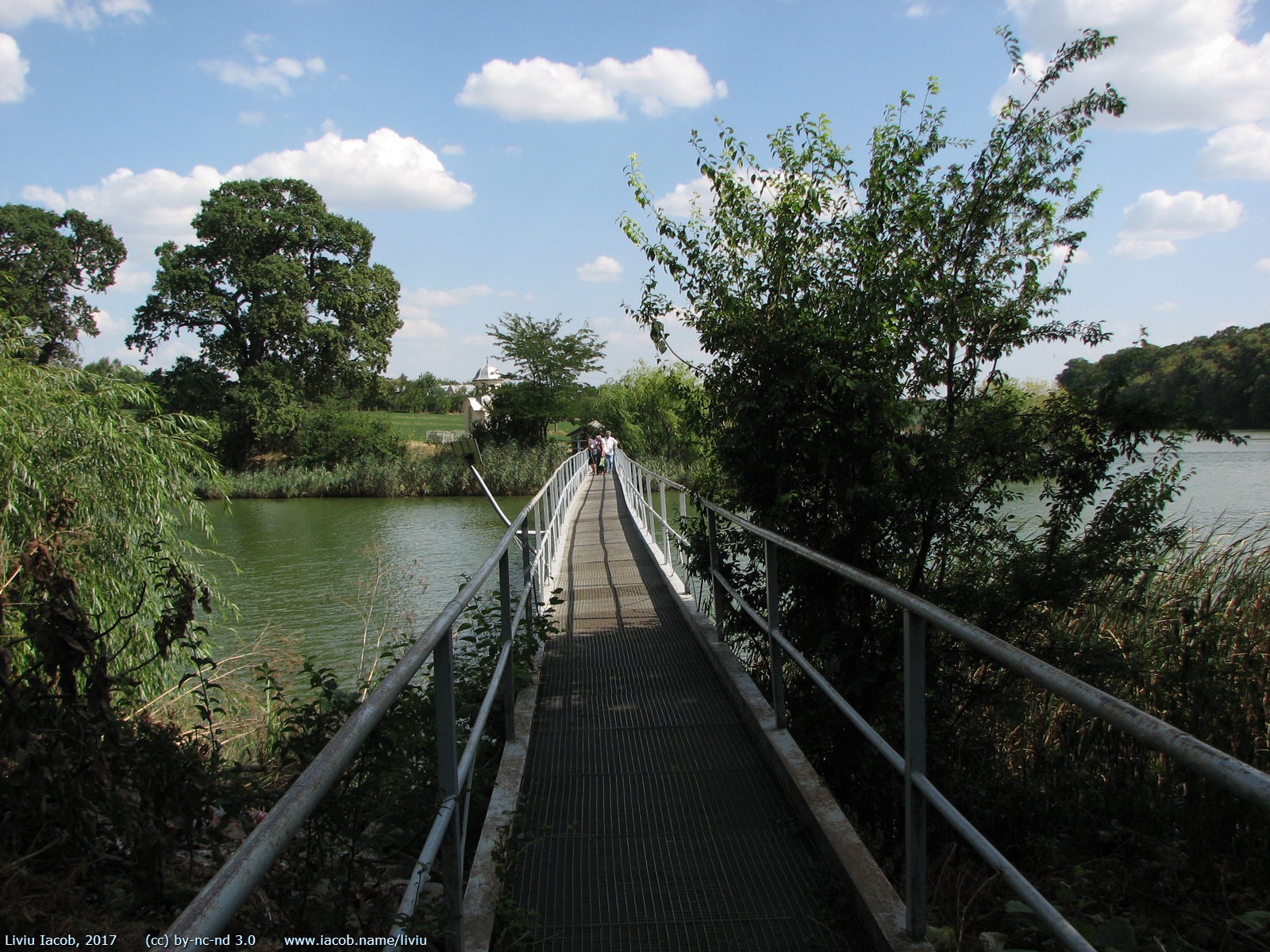 Traseu in Ilfov: Branesti (Padurea Pustnicu + Raul Pasarea ...