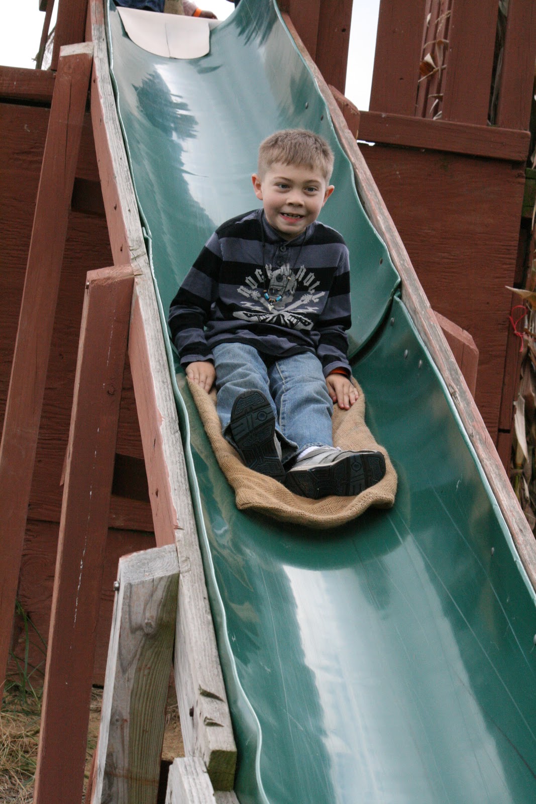 Party with the Ward's