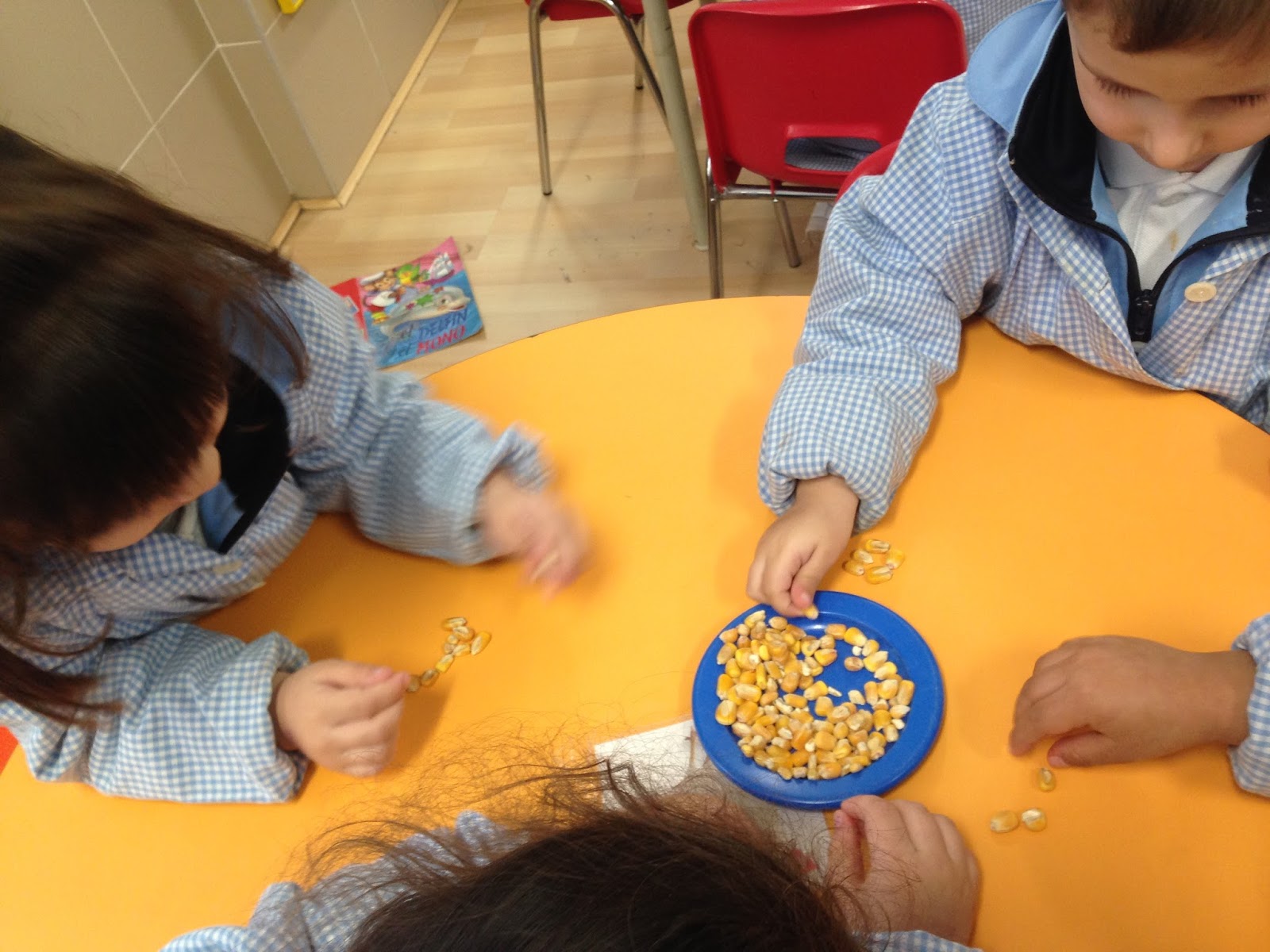 El TIC tac de infantil: ¿Qué come el pollito?