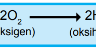 Jelaskan dari manakah oksigen berasal, sehingga oksigen dapat diikat ...