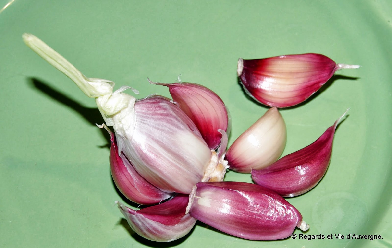 Foire à l'Ail d'Auvergne au Vin et à la Brocante de Billom, Puy-de-Dôme ...