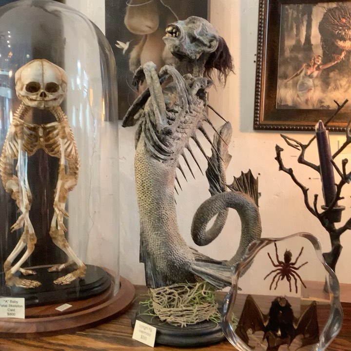 Propnomicon: Fiji Mermaid