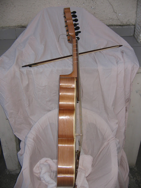 Renato Nicolai Luthier: Lira da gamba ou Lirone por Renato Nicolai (2011)
