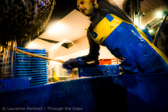 Through the Gaps! - Newlyn Fishing News: Sardine man Dan braves out ...