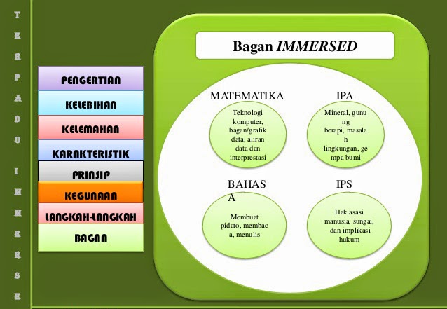 Wawasan Edukasi: IMMERSED DAN NETWORKED
