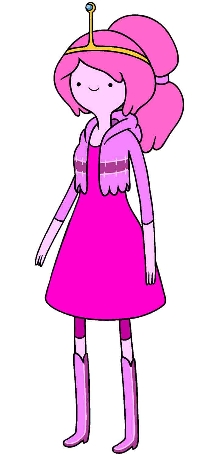 ADVENTURE TIME PRINCESS