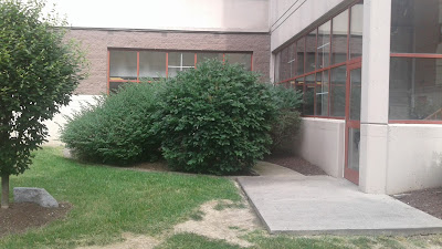 University Of Cincinnati Radiation Experiments