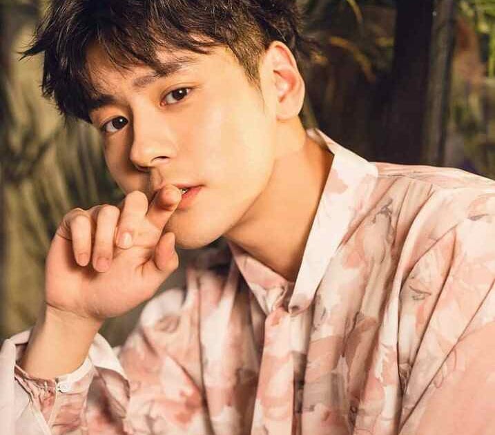 Biodata dan Profil Lengkap Miles Wei (Wei Zhe Ming) - Nona Mandarin