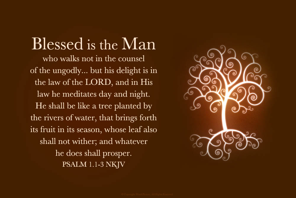 Walking In The Light Psalm 1