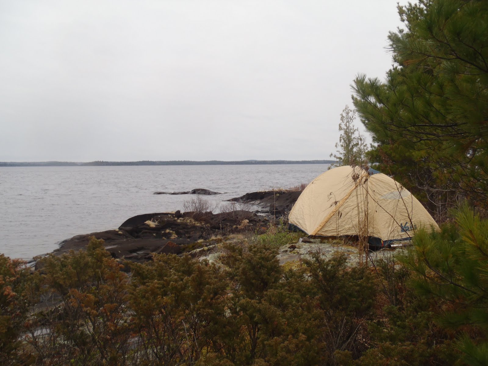 Alone in the wilderness