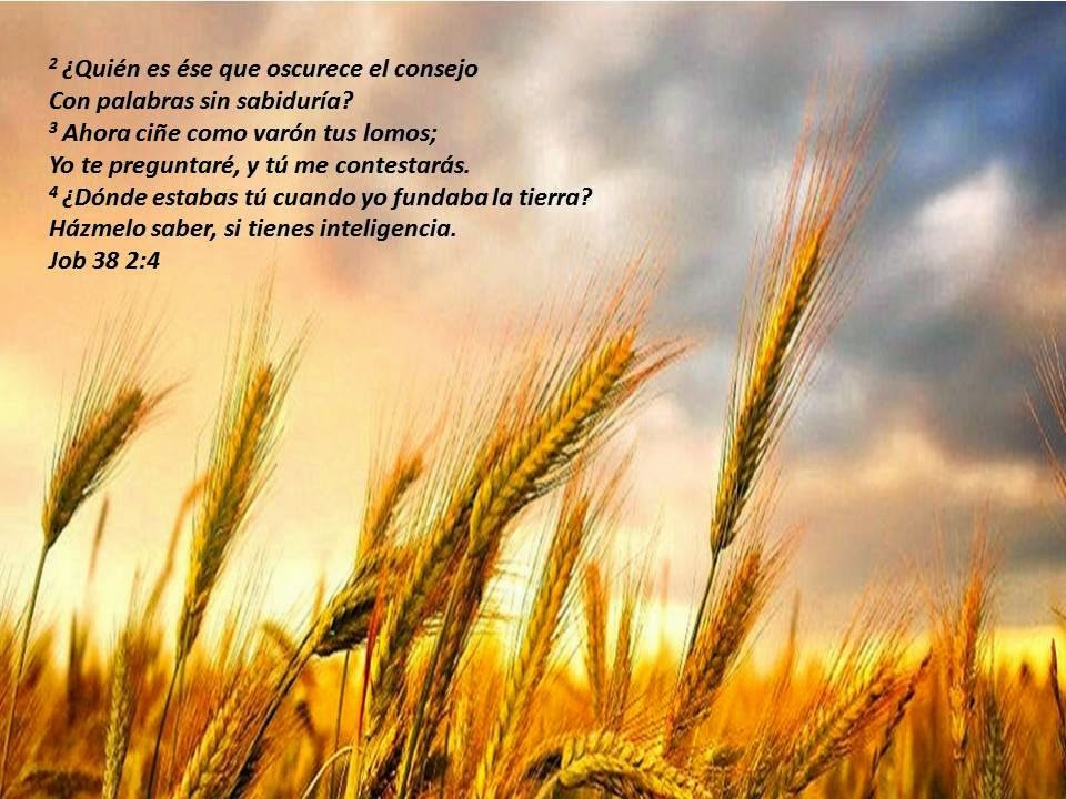 ATALA A TU CUELLO Devocional: julio 2014