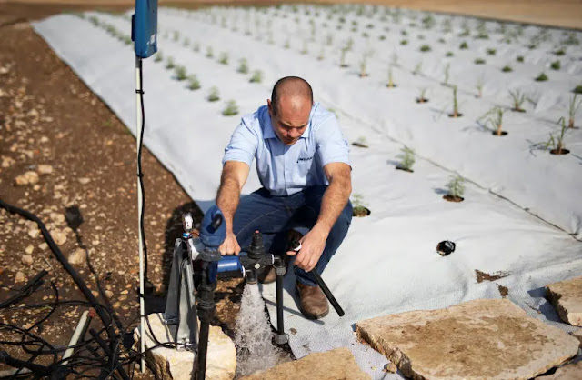 The birth of Modern Man: Health & Science: Israeli drip irrigation ...