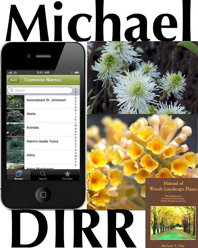 Phyllis Odessey: February 2012