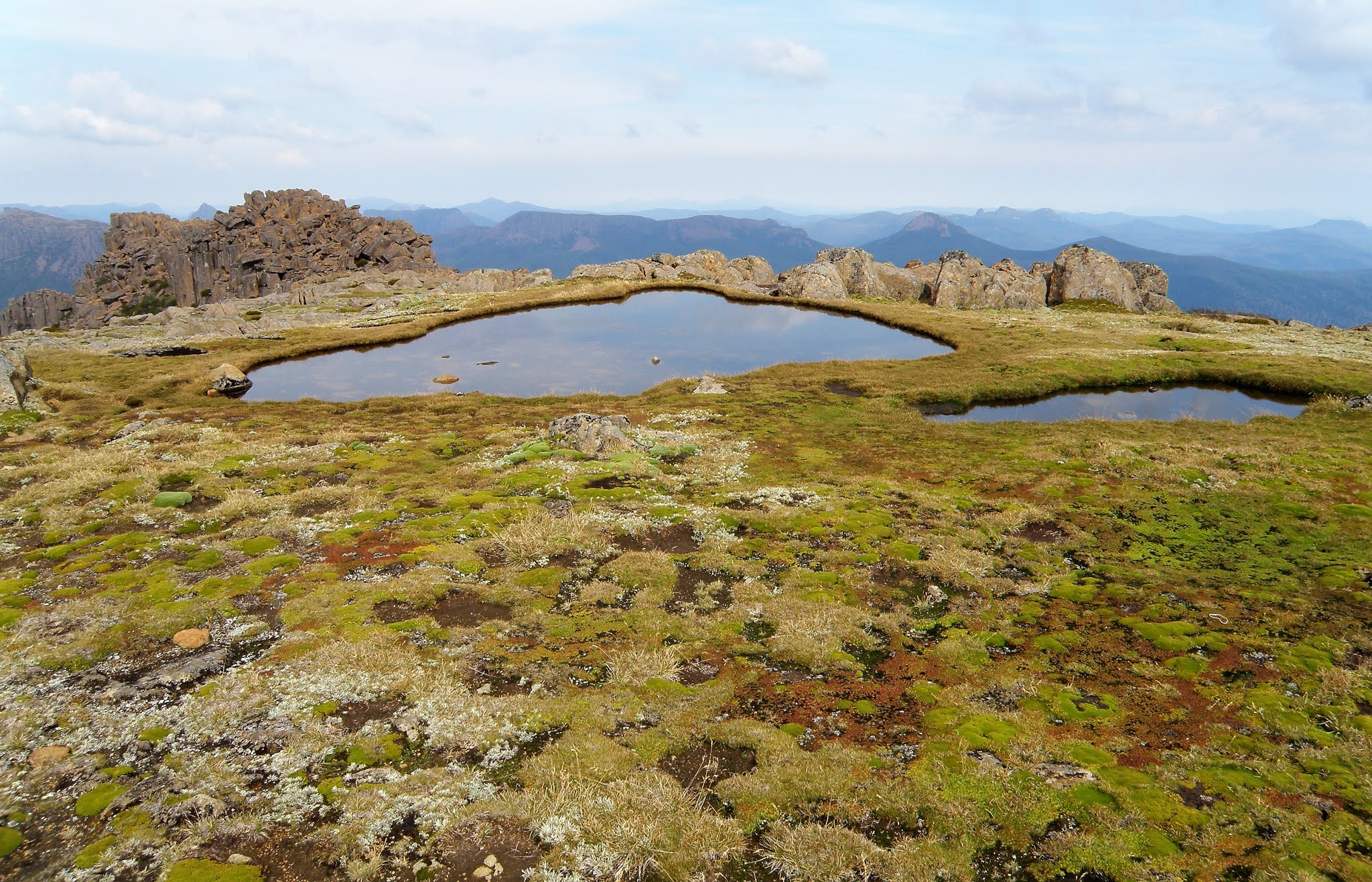 Goin' Feral One Day At A Time: Pelion Hut to Mt Ossa return, Overland ...
