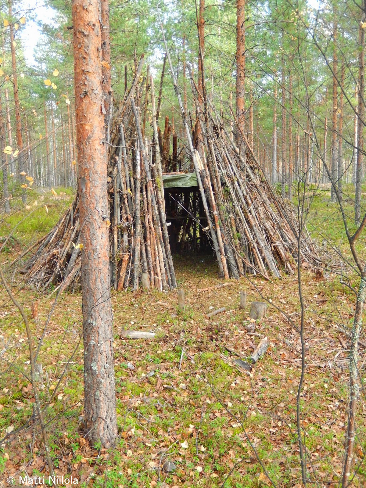 matti metsässä ja muualla: MAJA