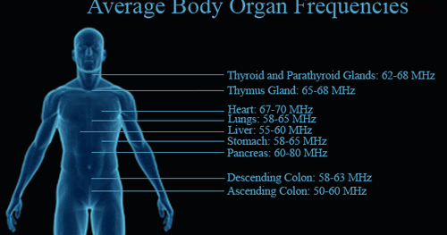 Understanding Brings Peace: Body & Emotion Frequencies