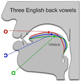 nisha dhiman: My view about the various types of vowels