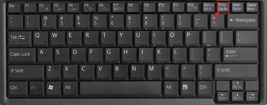 Pilote Clavier Microsoft Internet Keyboard Pro Software - boutiquebertyl
