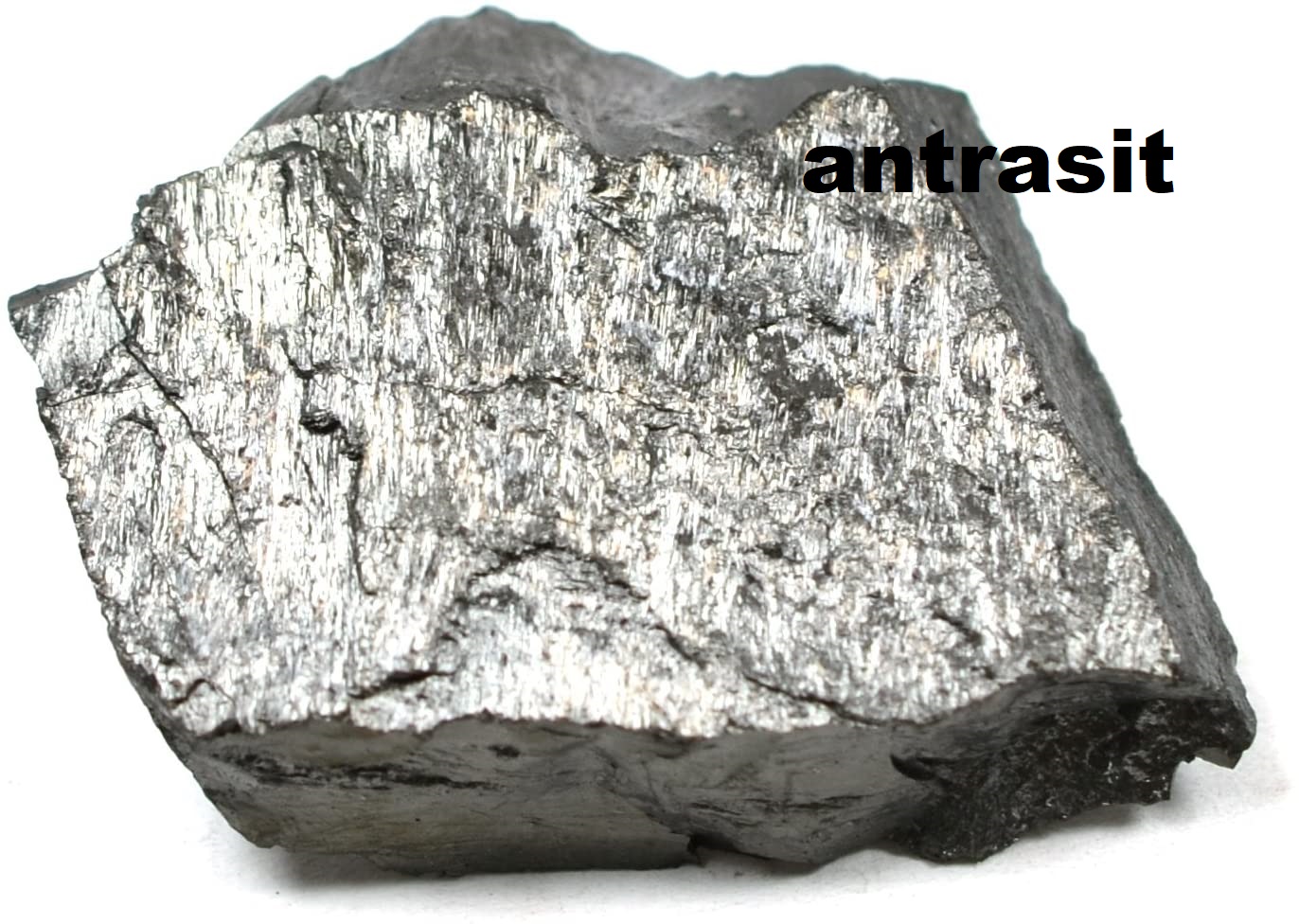 antrasit - BilginCin