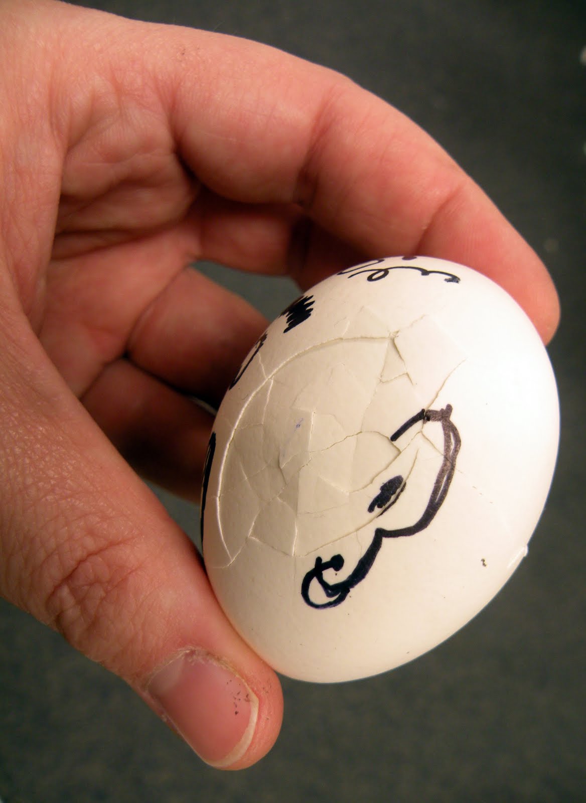 The Fantastic Five: Science Sunday: Meet Fregg