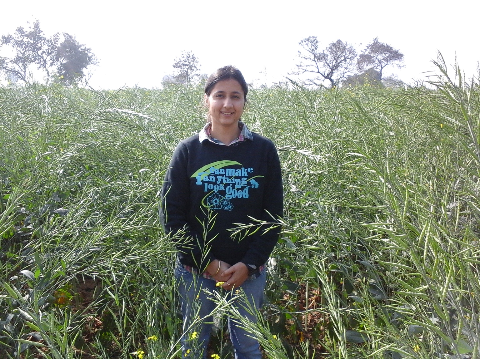 rojnamcha-kargujari: We approached the Sarson Ke Khet in Haryana