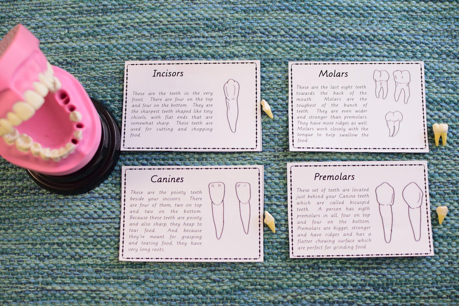 Introducing Dental Health to Kids | The Pinay Homeschooler