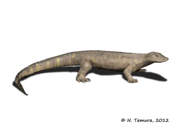 Los animales en la prehistoria: Animales prehistóricos con la letra A