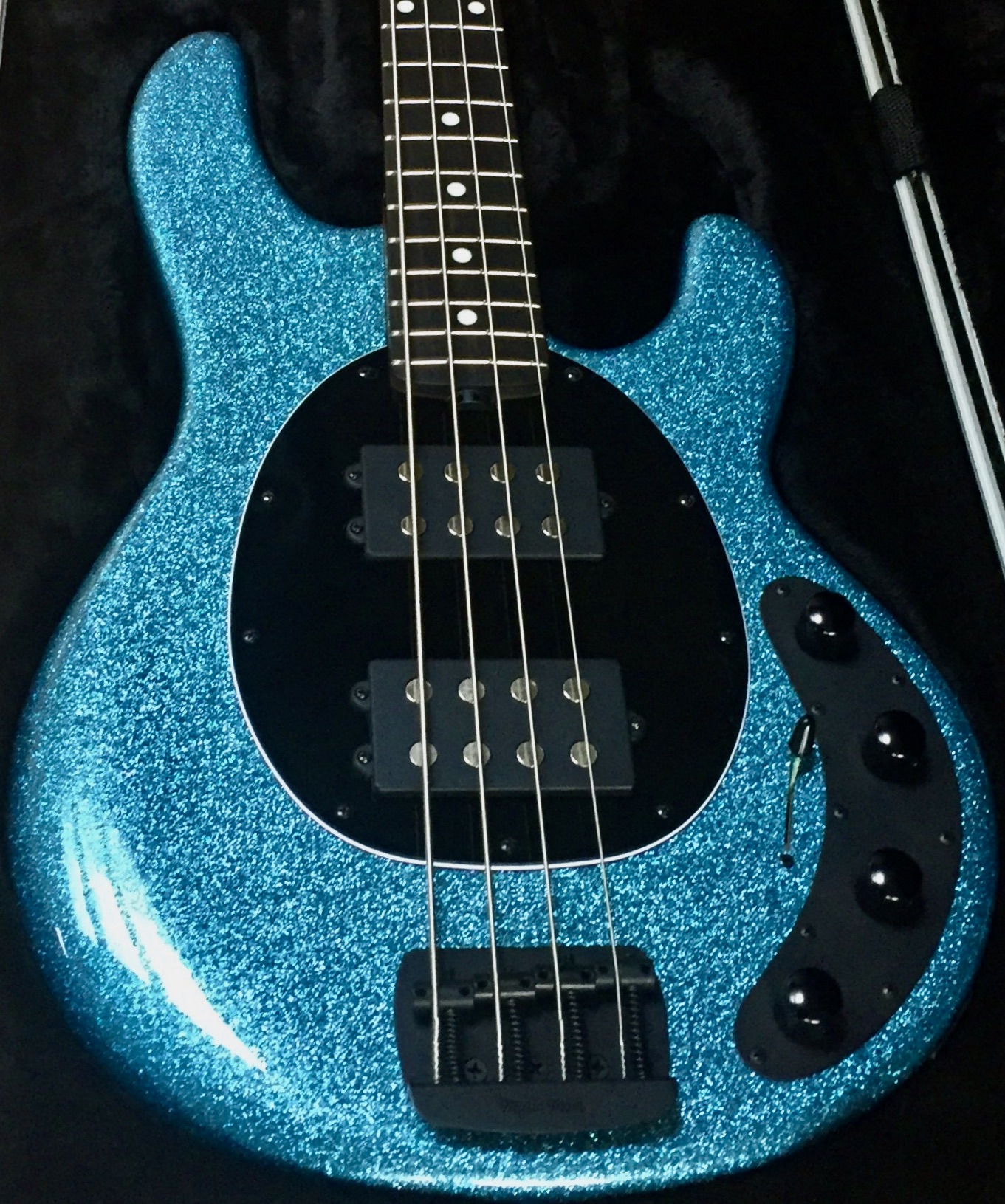 Bass Guitar Adventures: Gear Review: Three Flavors of Stingray Basses