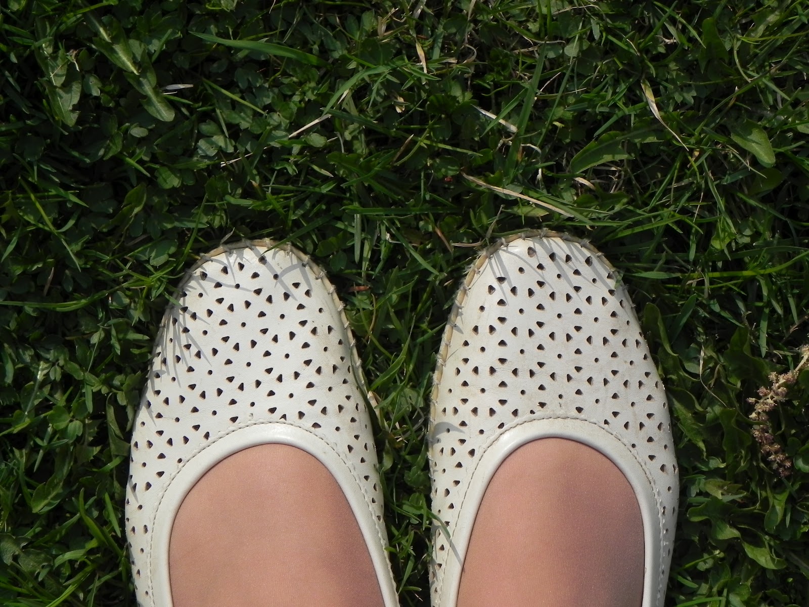 teele: Kevade hommik ja taimede vägi