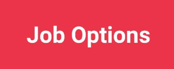 Jobs Option