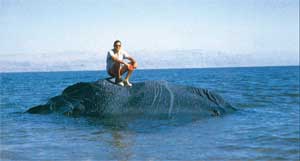 Truth Proof: Valley of Siddim...Dead Sea and Tar Pits