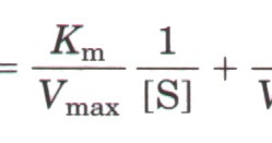 Ecuación de Lineweaver-Burk