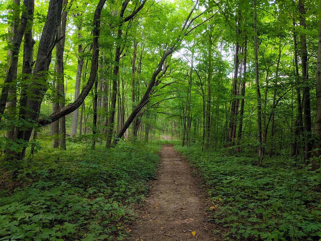 Hiking the Milwaukee River Segment of the Ice Age Trail - Washington County