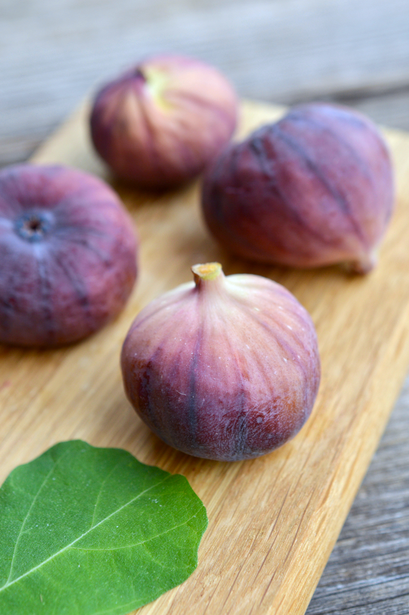 Oma viikunasato! | Kanelia ja kardemummaa