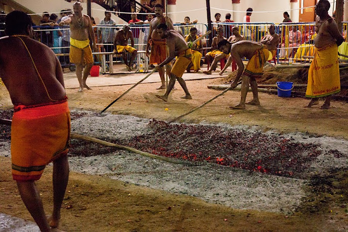 postcards from singapore: theemithi : hindu fire walking festival