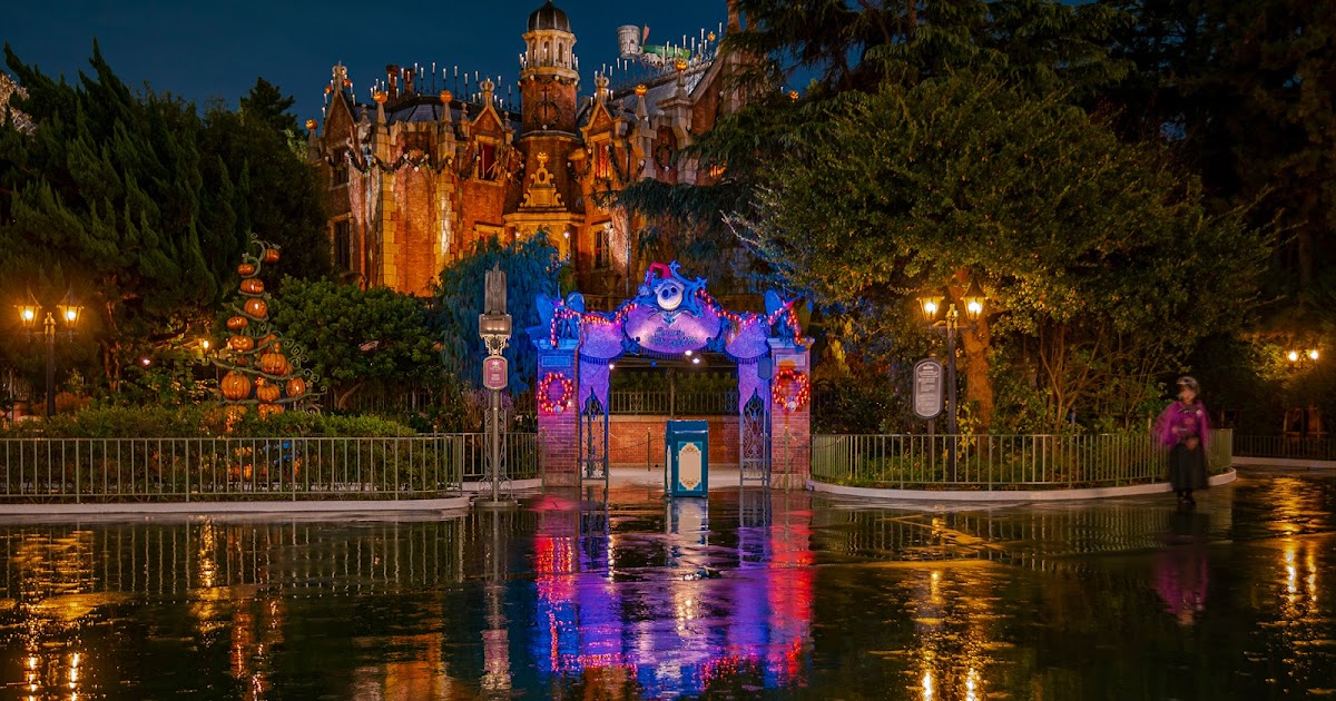 Disney Photoblography