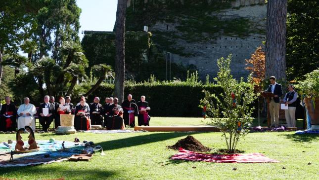 The Counter-Revolution | Let's Restore our Catholic Tradition: Shaman ...