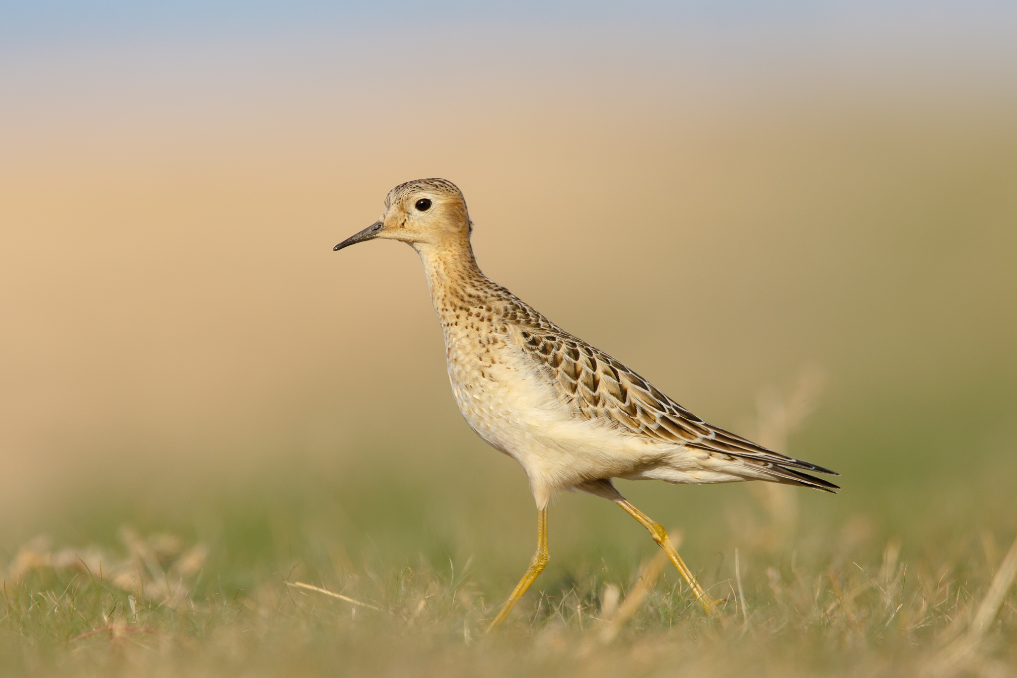 Nikos Fokas Photopraphy Blog