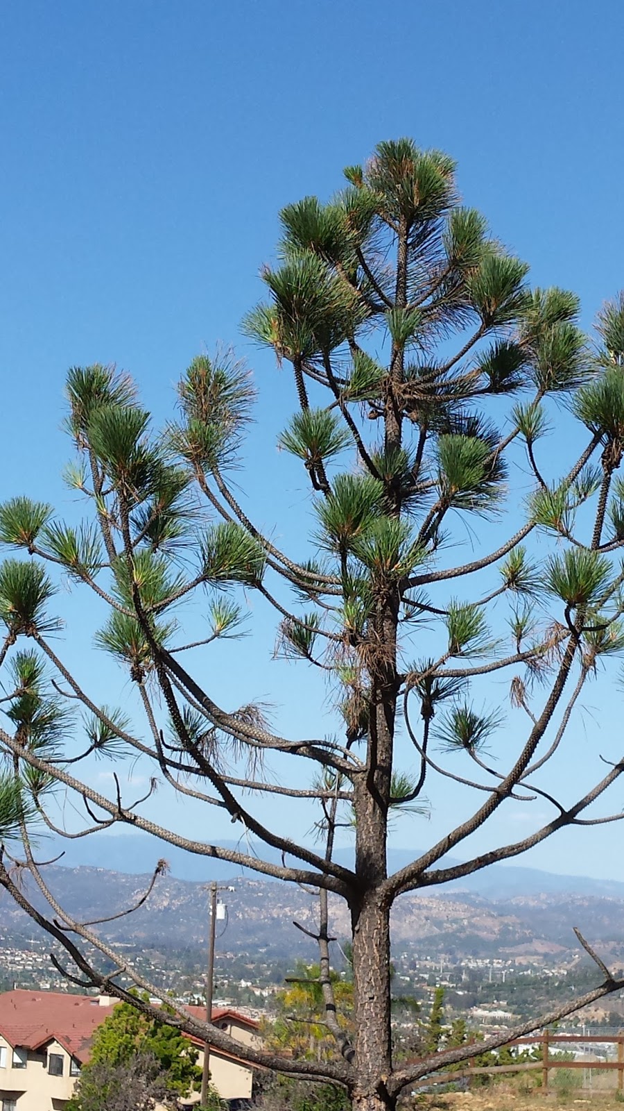 Timeless Environments: Should Firefighters be expected to save Homes ...