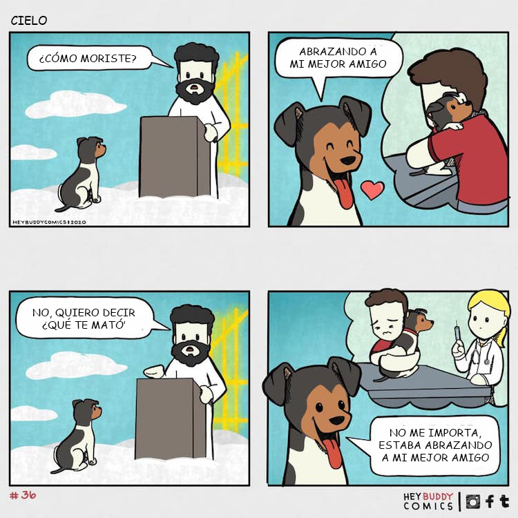 Hey Buddy Comics, las crónicas de la especial relación entre perros y ...