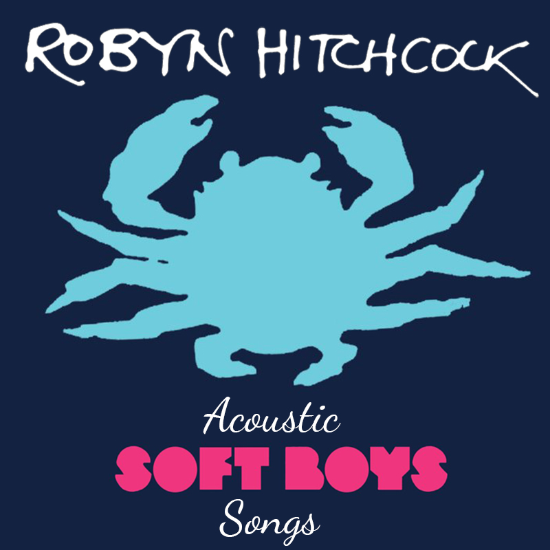 Albums That Should Exist: Robyn Hitchcock - Acoustic Soft Boys Songs ...