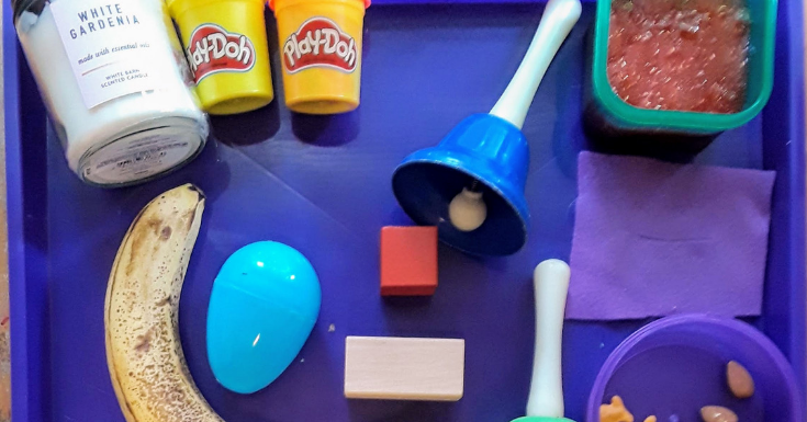 Jack of All Trades: Science Lab: Exploring Our Senses